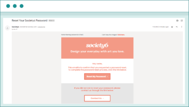 Password Reset Email Message Examples + Deliverability Tips | Email ...