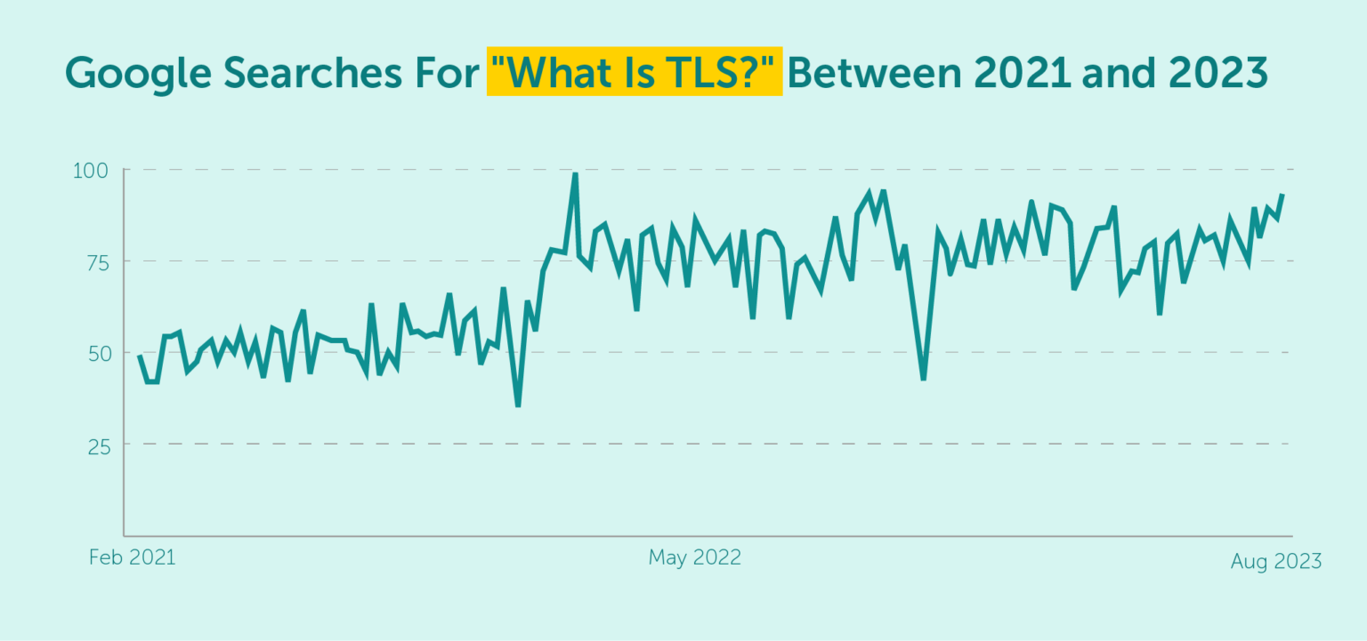 What Is StartTLS? | Email Delivery Service EmailLabs